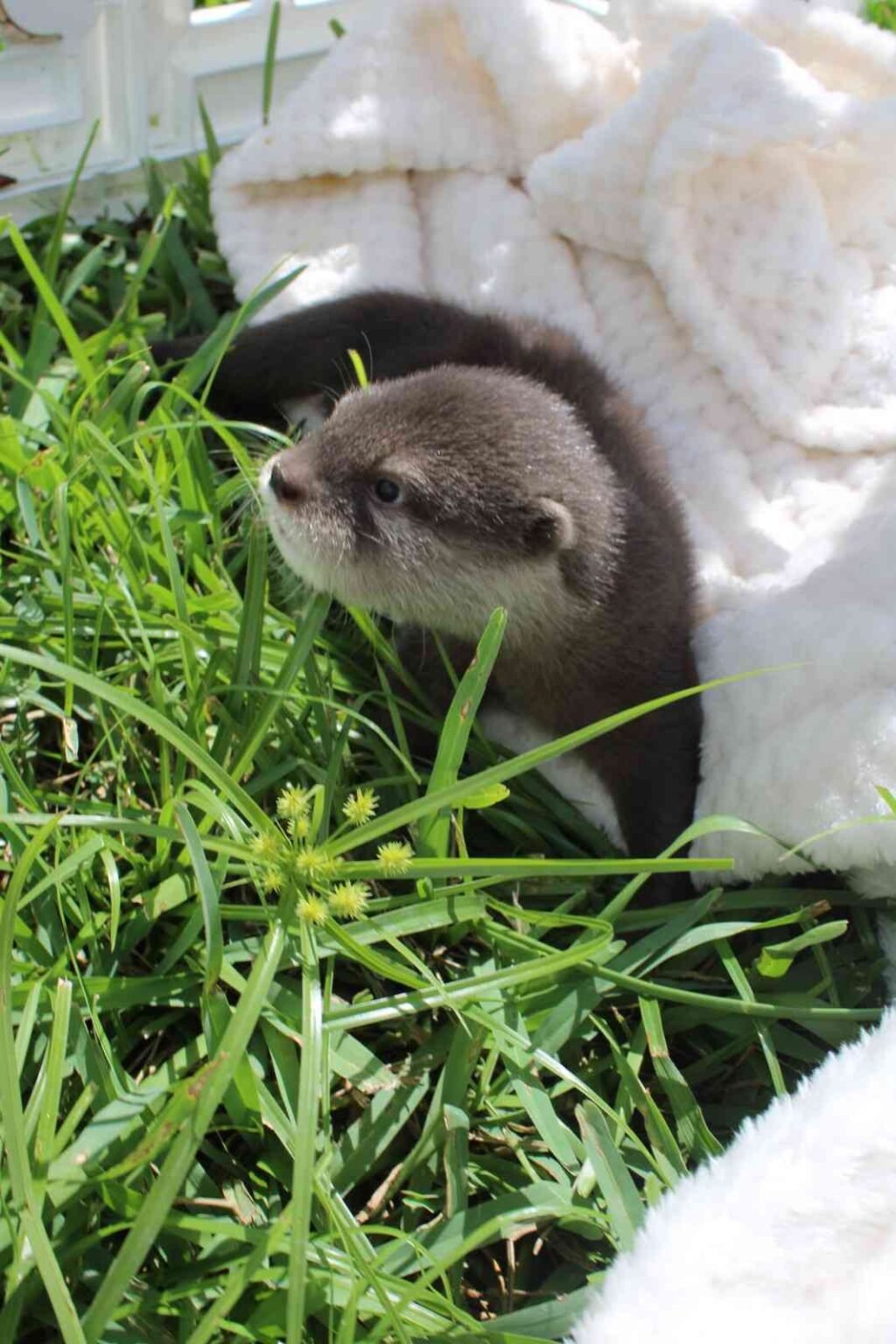 About Us – Exotic Animal Playground